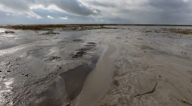 Slib | Natuurfotografie Jacques van der Neut